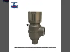 Stainless Steel Internal and External Thread Safety Valve with 18 Months Warranty and ISO14001 Certification