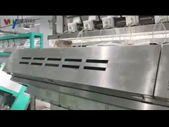 China WENYAO 2025 New Product Launch 304/316L  High Accuracy CCD Rock Salt Particles Color Sorter for sale
