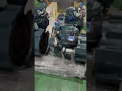 China Kubota Z482-EF09_CN4_1 Two-Cylinder In-Line Diesel Engine For Efficient Power In Small Machinery for sale