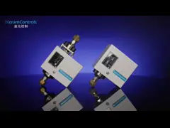 125V 20A 調節可能な圧力スイッチ 33bar 圧力モニタリング
