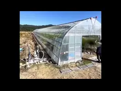 농업 농업용 온실 전체 개방형 지붕 환기 터널