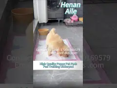 この面接は素早い質の訓練についてです