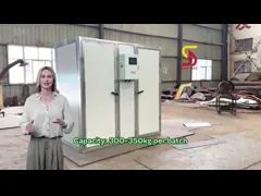 Multifunctionele Elektrische Commerciële Dehydrator Oven voor Fruit en Groenten