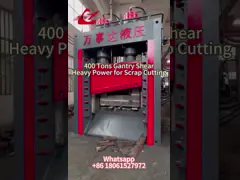 Wanshida Gantry Shear Cutting Scrap Metal