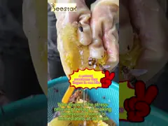 Honey is a treasure and many people enjoy eating it. How do you like to consume honey