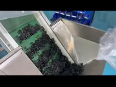 自動バックル計数包装機