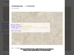 Porcelain Material Indoor Porcelain Tile Panels for Durability and Style