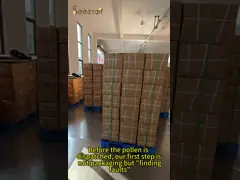 China Yellow Brown Corn Pure Raw Bee Pollen For Beekeeping Farms for sale