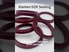 Hydraulic Cylinder Seals