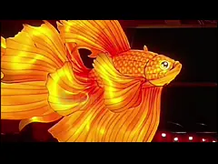 China Outdoor Chinese Fish Lantern 3D Light Up Fish Sculpture Lamp for sale