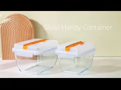 IKOO Extra large glass food container with handle