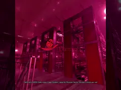 60000 Sistema de jaula de pollo de capa segura para granjas rusas con 9 aves por celda y diseño ecológico