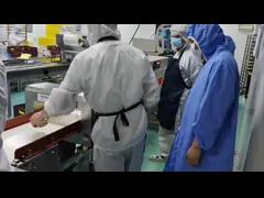 Cina Metal detector termico con Digital che elabora, visualizzatore digitale dell'alimento del circuito di punta in vendita