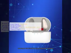 BTE Invisible Hearing Aids Custom Hearing Aid OEM China