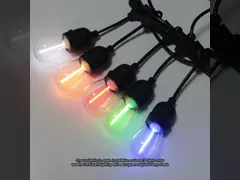 Stake Installation Solar Powered LED Lights Outdoors Toughened Glass Lampshade for Weather-Resistant Lighting