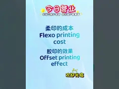 China Auto Tension High Speed Flexo Printing Machine with 300m/min Mechanical Speed for sale