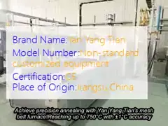 High Precision Mesh Belt Type Optical Glass Strip Annealing Furnace, Max. 750 °C