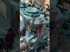 D902-EF01-CN4 Motore Kubota 3600 giri al minuto 18,2 kW Motore diesel Assemblaggio raffreddato ad acqua