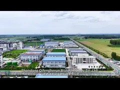 Shandong Qifengherun Biotechnology Co., Ltd