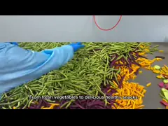 China Vacuum Fried Vegetable & Fruit Chips - 12 Mixed Varieties with 12 Month Shelf Life | BRC & KOSHER Certified for sale