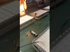 3000-6500K LED Stadium Lighting Dark Grey Black White Color