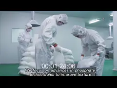 China Food Additive STPP Mono Sodium Phosphate Anhydrous Tripolyphosphate White Powder for sale