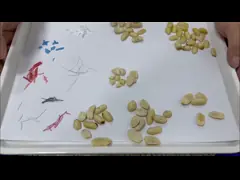 Peanut Sorting II