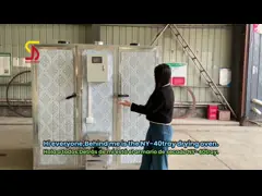 중국 과일 및 채소 트레이 건조 오븐 산업용 감자 토마토 탈수기 850kg/h 증발 판매용