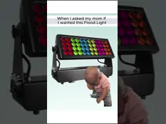 So I Asked My Mom If I Could Buy a Floodlight...