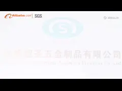 Dongguan Chaosheng Company Profile