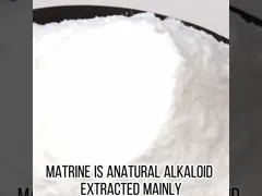 Sophora Flavescens Extract Matrine CAS 519-02-8 Matrine