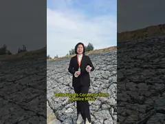 PVC Coated Woven Hexagonal 2x1x1m Standard Size Metal Gabions Baskets for River Bank Protection & Slope Stabilization