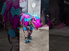 Dinosaur Costume