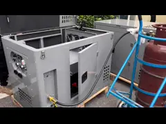 Cina 10kw 15kw 20kw EPA certificato LPG generatore di gas naturale con 120V/220V Electric Auto Start in vendita