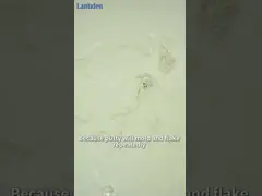 Textured Paint Magic Crystal Stone Series Simple Application No Base Coat Putty Needed Easy Installation