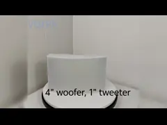 5W 10W Wall Speaker 4 Inch Woofer 1 Inch Tweeter ABS Speaker