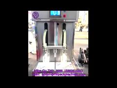 2046 M19 Semi-Automatic Submerged Dual-Head Liquid Weighing Filling Machine