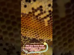 China 1.4% 1.6% 10-HDA Natrual Fresh Royal Jelly Bee Products Honey Royal Jelly for sale