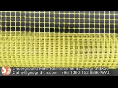 China Plastic Mesh Grid Biaxial Geogrid Made Of Polypropylene (PP) For Soil Stabilizer On Roads for sale