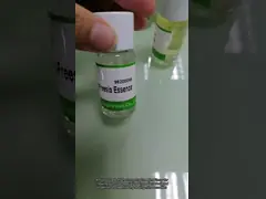 China Food Grade High Concentration Mint Flavor For Chewing gum  Of Long-lasting Freshness for sale