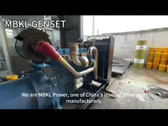 Cina Gruppo elettrogeno diesel aperto Likaduo 40KW con uscita 230V/400V e frequenza 50Hz/60Hz in vendita