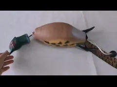 China Pet Training Products Dog Training Academy Agility Training Dog Sports Competition Obedience School for sale