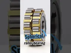 China Eccentric Bearing 619 GSX Cylindrical Roller Bearing 619GSX Chrome Steel Bearing 85x151.5x34mm for sale