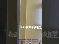 China 45mm Powder Coated Aluminum Room Door 1.0 Hour Fire Rating Fireproof Soundproofing Door for sale