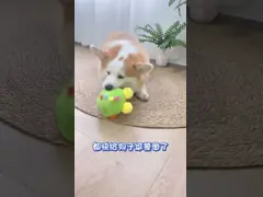 Reward System Agility Training App Control Eco-Friendly Materials Vibration