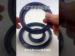 China Custom Hydraulic Piston Seals SPGW Excavator Hydraulic Cylinder SPGW Piston Seals Compact Hydraulic Piston Seals for sale