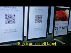 Full Color Dynamic Video Animated TFT ESL Display