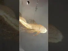 Luxury Modern Chandelier French Style LED E14