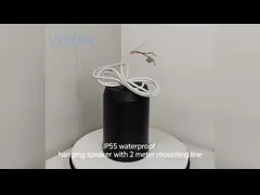 중국 IP55 풀 레인지 행잉 스피커 5인치 상업용 펜던트 스피커 2m 라인 판매용