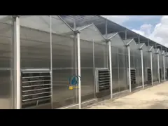내구성이 뛰어나고 유지관리가 쉬운 다중 범위 폴리카보네이트 온실